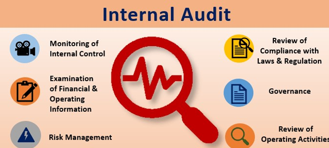 Introduction to Internal Auditing | Riskpro India - Connect with Risk ...